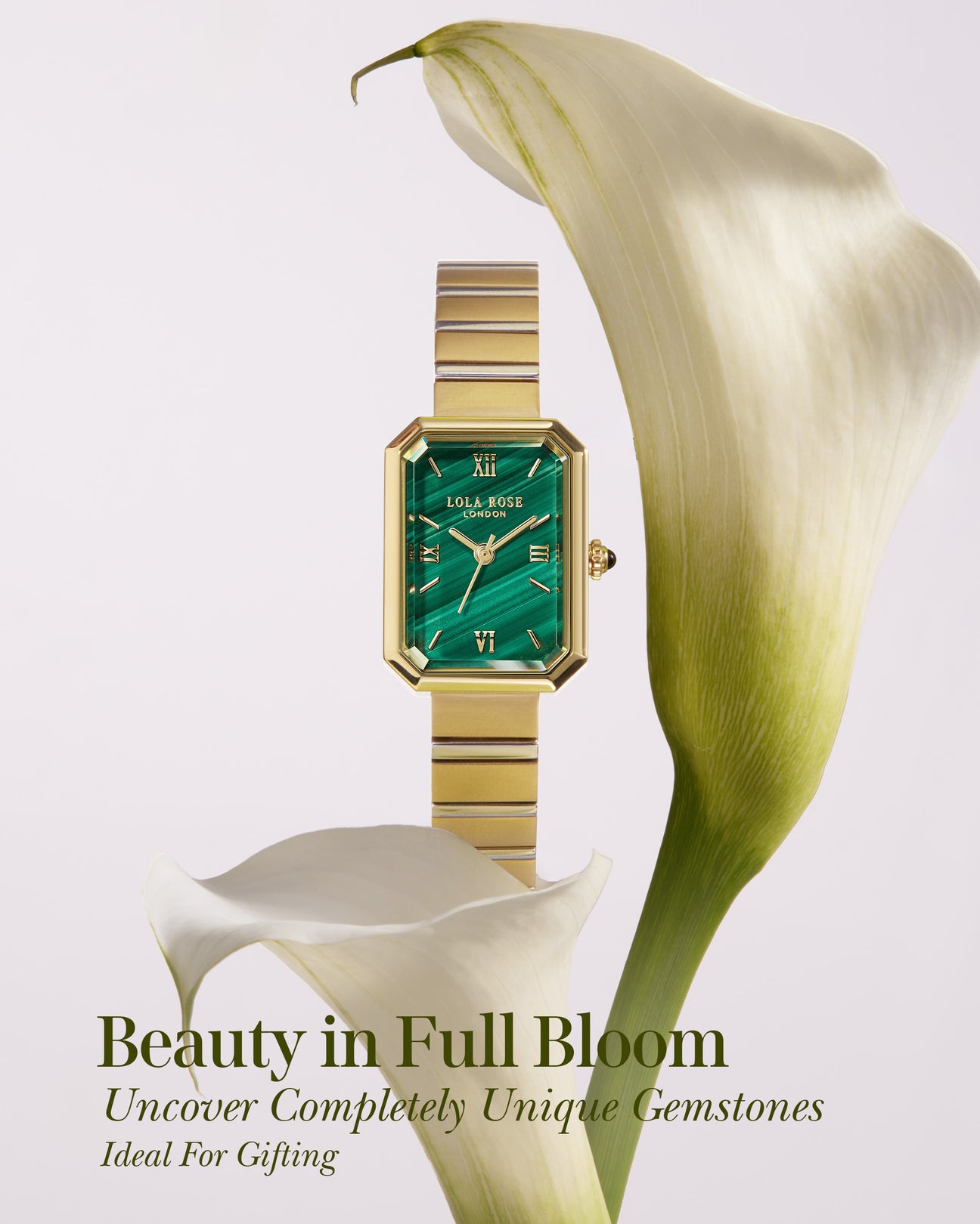 Fashion Design Women Watches - Lola Rose Watches